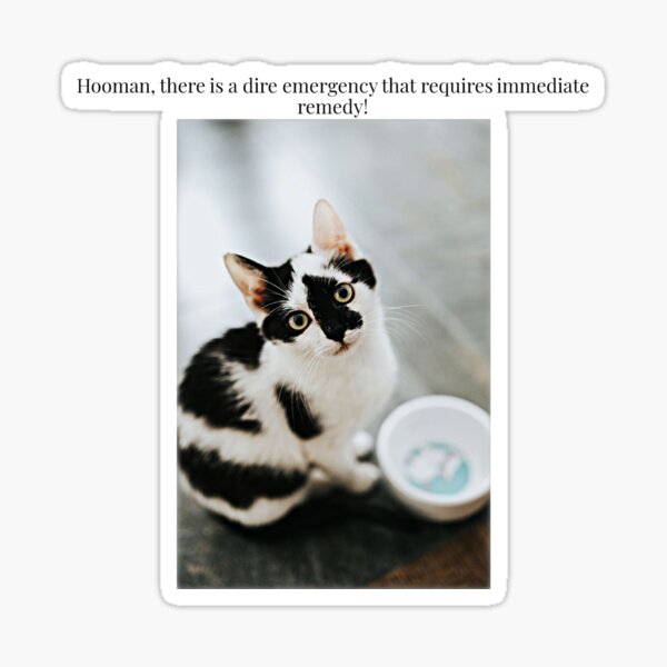 "Fix it" Sticker by Heartwalker | Redbubble