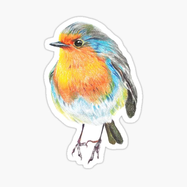 "Robin" Sticker by lilart1228 | Redbubble