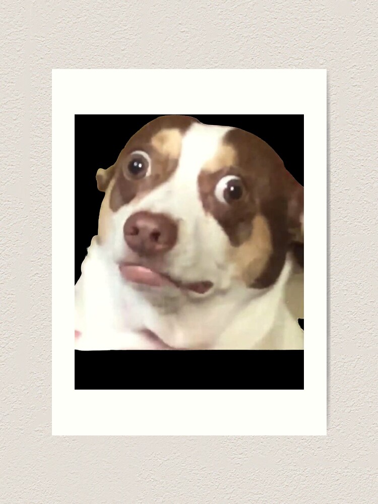 "Mr.Bubz Funny Dog Meme" Art Print for Sale by mixjarris | Redbubble