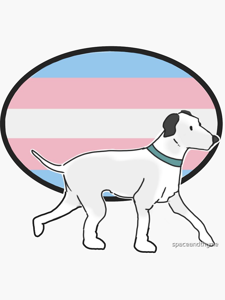 "Trans flag w dog" Sticker for Sale by spaceandthyme | Redbubble