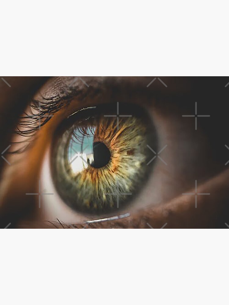 Eye Giant Eye Eyeball Eyelash Hazel Eye Vision Sticker By