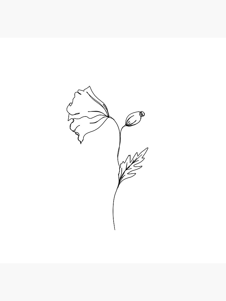 "Poppy flower continuous line drawing. One line art. minimalism sketch ...