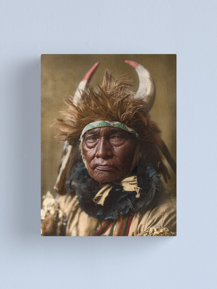 "Bull Chief, warrior of the Apsáalooke (Crow Tribe), photographed by ...