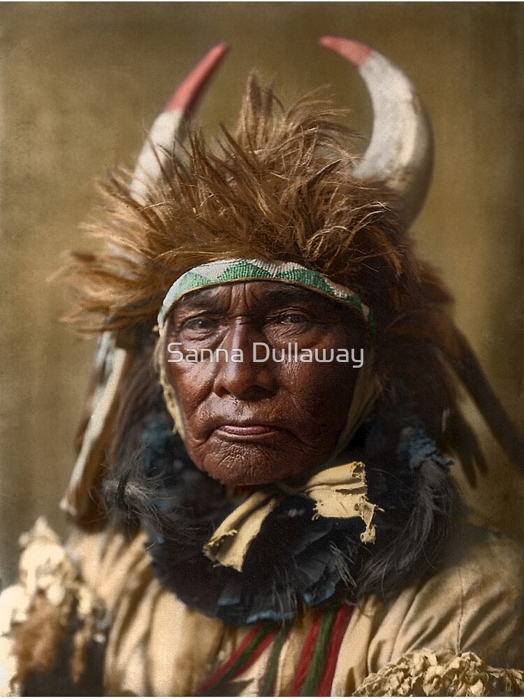 "Bull Chief, warrior of the Apsáalooke (Crow Tribe), photographed by ...