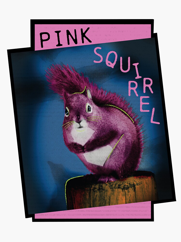 "Retro Pink Squirrel" Sticker by AStephMonster | Redbubble