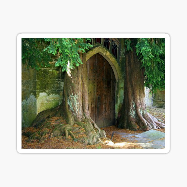 "Jack and the Beanstalk" Sticker by JohnDalkin | Redbubble