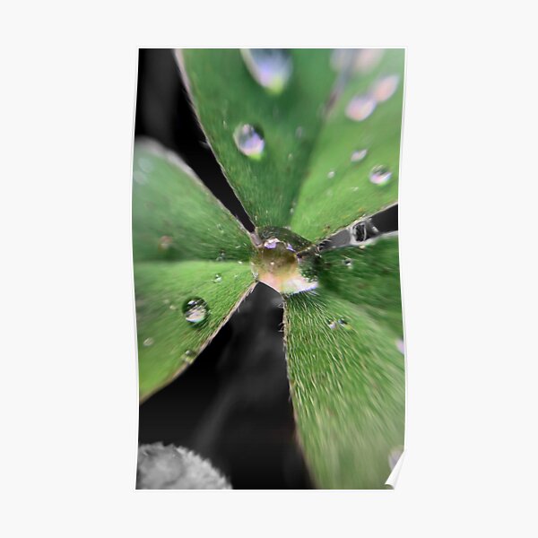 "Central Droplets " Poster for Sale by MyMacros | Redbubble