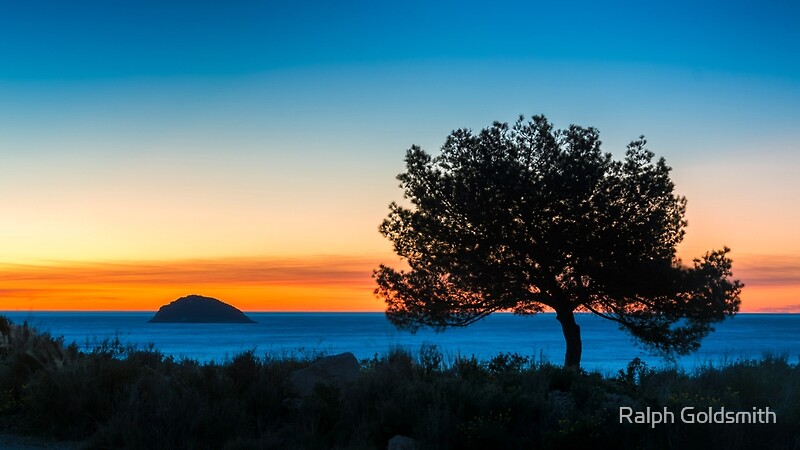"Blue hour tree and island" by Ralph Goldsmith | Redbubble