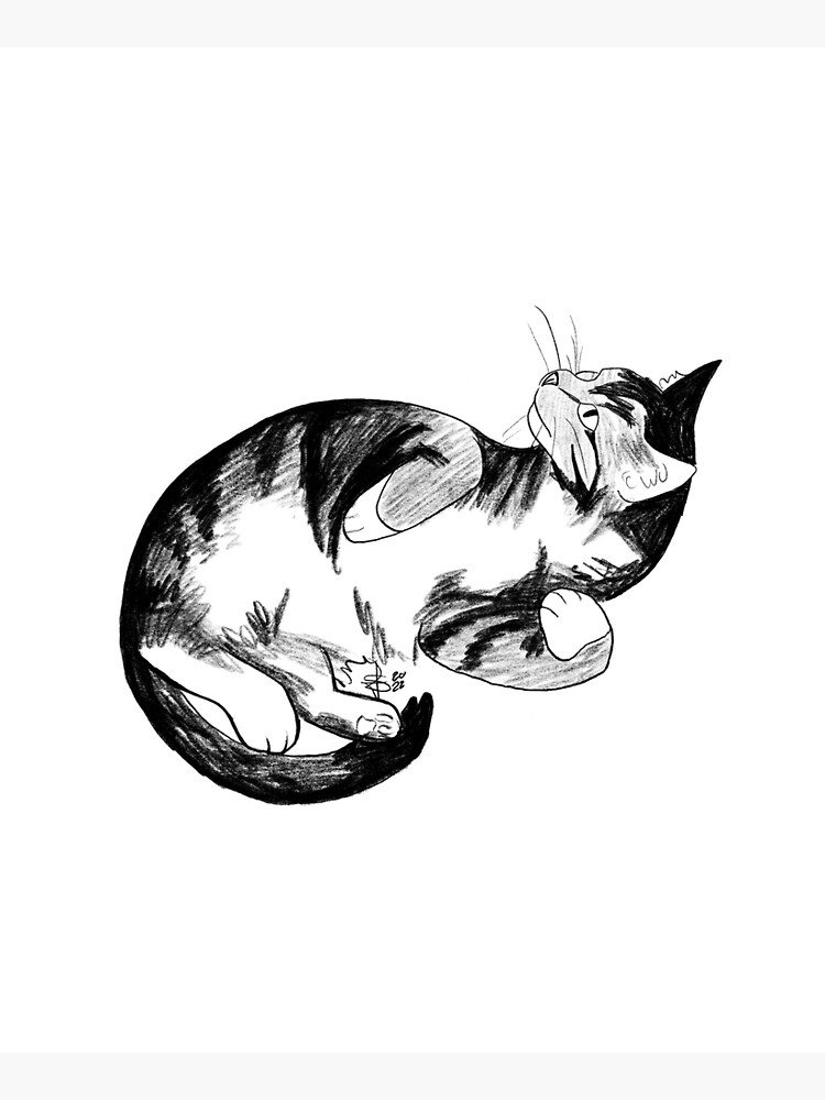 "Max the Cat" Poster for Sale by katapuss | Redbubble