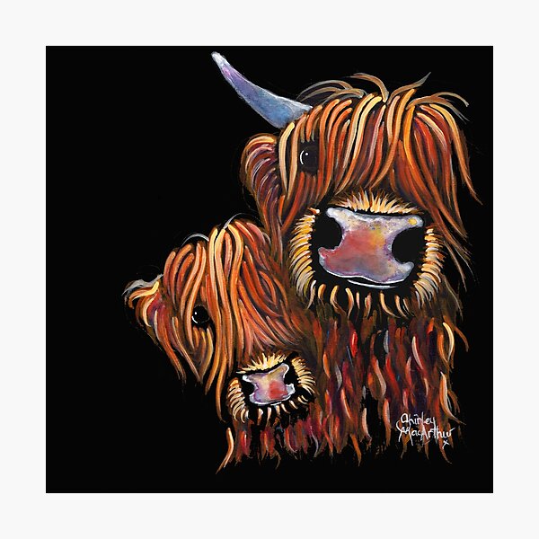 "Scottish Highland Cows ' Daddy's Girl' by Shirley MacArthur ...
