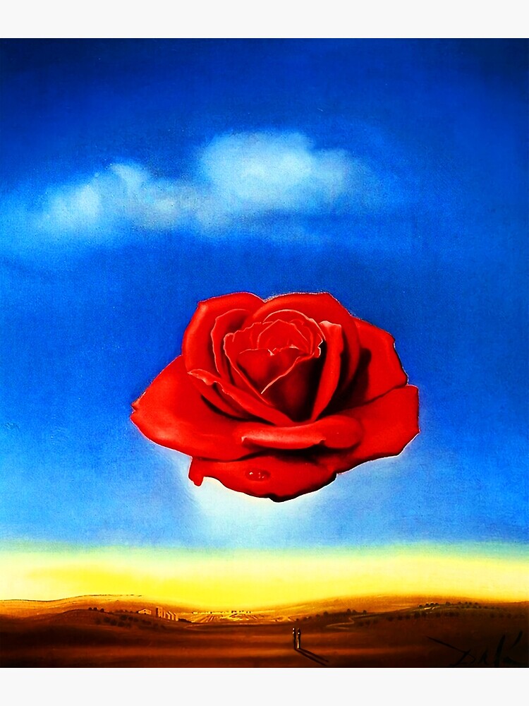 "The Rose Meditative Dali" Photographic Print for Sale by Haroldvail ...