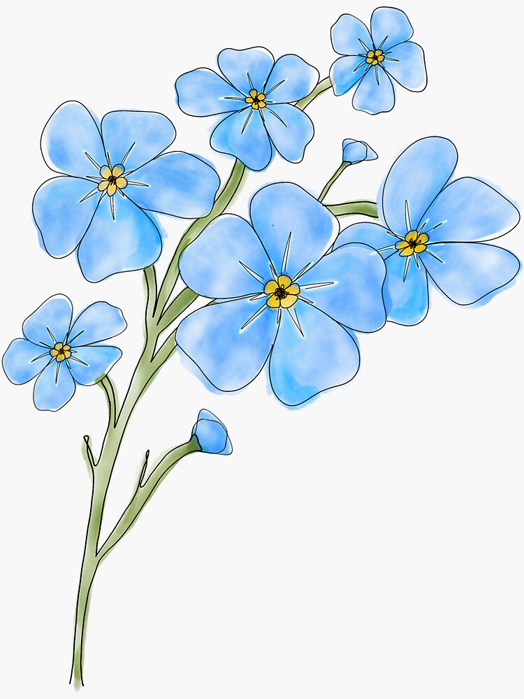"Forget Me Knot" Sticker for Sale by sarahschroeder | Redbubble