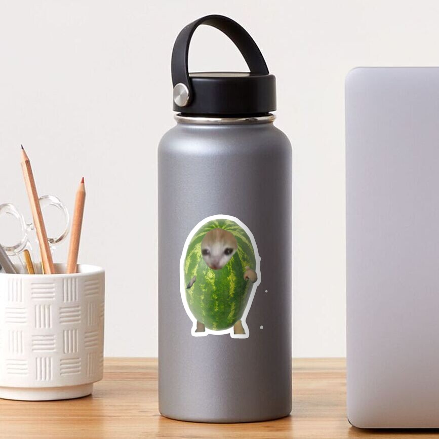 "Meow-Melon" Sticker by adrian122623 | Redbubble