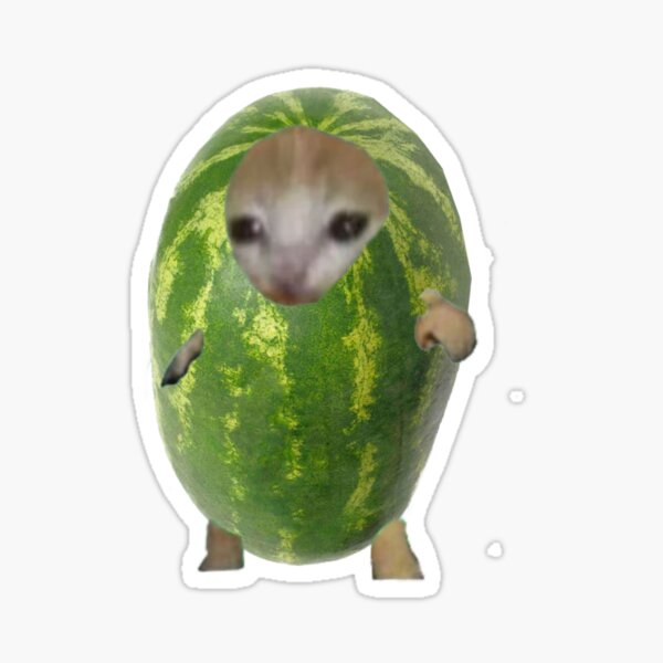 "Meow-Melon" Sticker by adrian122623 | Redbubble