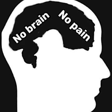 "an mri-drawn head shot with the inscription "no brain, not pain ...