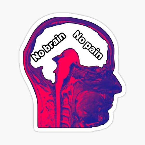 "an mri-drawn head shot with the inscription "no brain, not pain ...