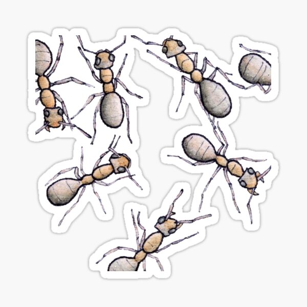 "Ants" Sticker by BrutishIsles | Redbubble