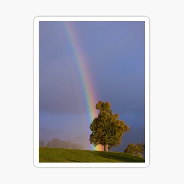 "linden and rainbow" Sticker by Meduzio | Redbubble