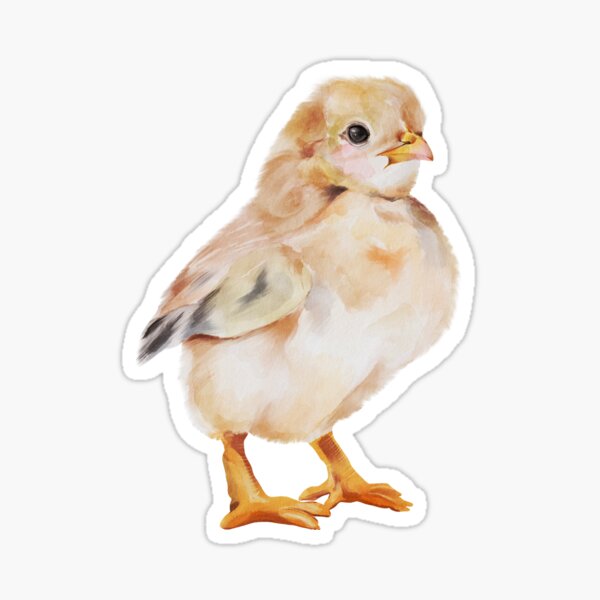 "A Chick Watercolor Yellow Chick Spring Animals Farm" Sticker by Mr ...