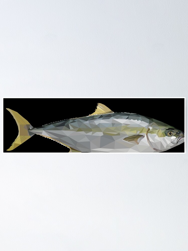 "Yellowtail Kingfish low poly art" Poster for Sale by kingswag | Redbubble