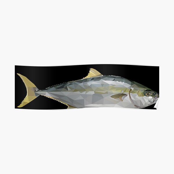 "Yellowtail Kingfish low poly art" Poster for Sale by kingswag | Redbubble