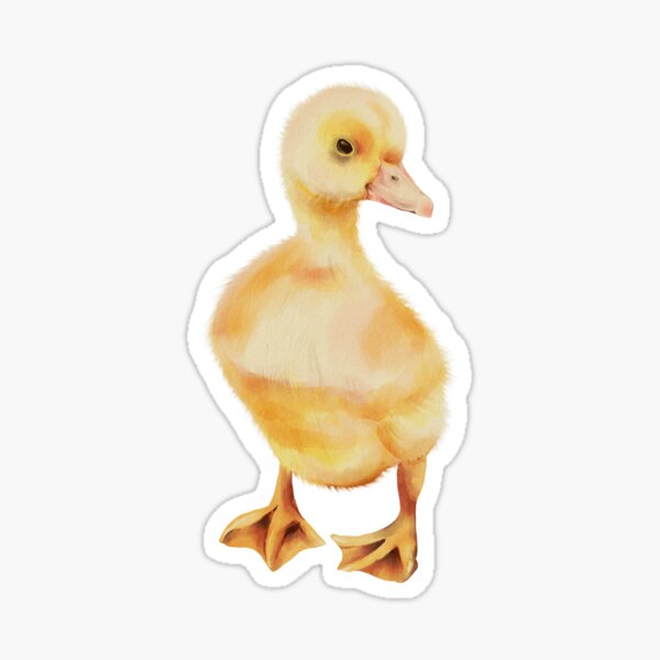 "Duck Chick Watercolor Yellow Duck Chick Spring Animals Farm" Sticker ...