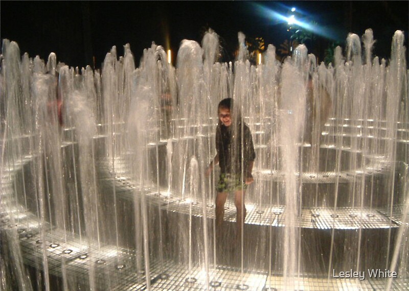 "Water Maze" by Lesley White | Redbubble