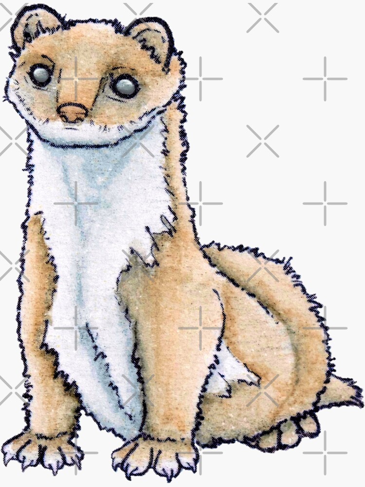 "Weasel" Sticker for Sale by BrutishIsles | Redbubble