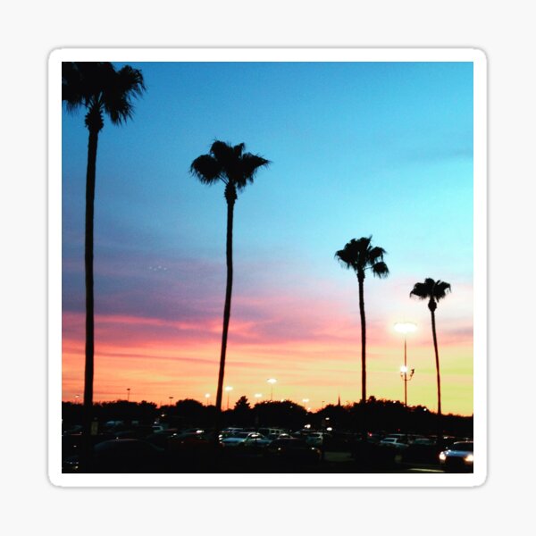 "Palm Tree Summer Sunset " Sticker by sabelsstudio | Redbubble