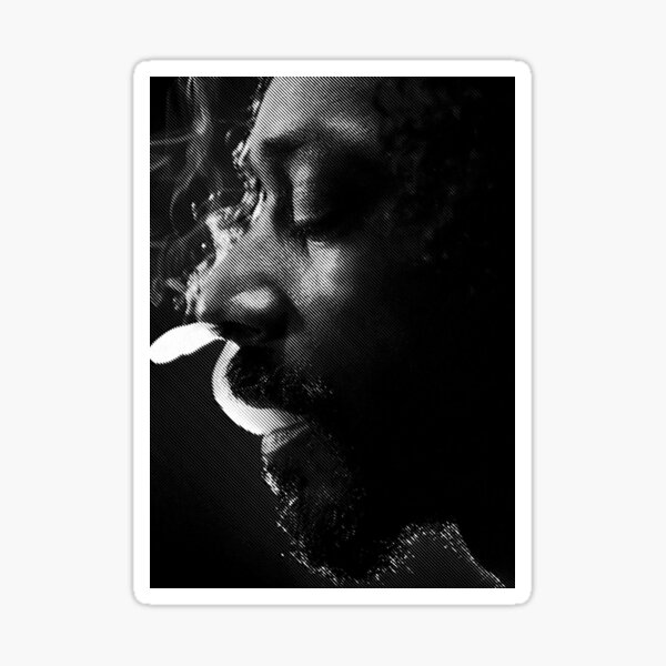"Cool Snoop Dog is Smoking Weed drrrrr" Sticker by Chvaneliogo | Redbubble