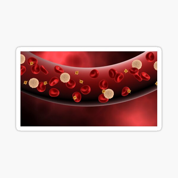 "Blood vessel with platelets, white blood cells and red blood cells ...