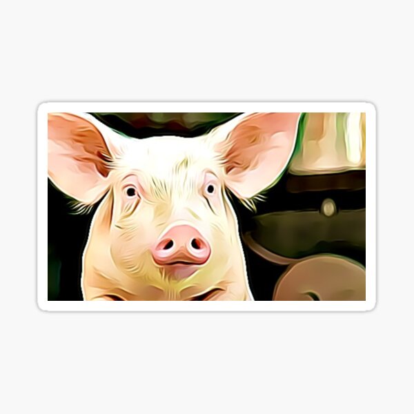 "Pig" Sticker by Stefancar00 | Redbubble