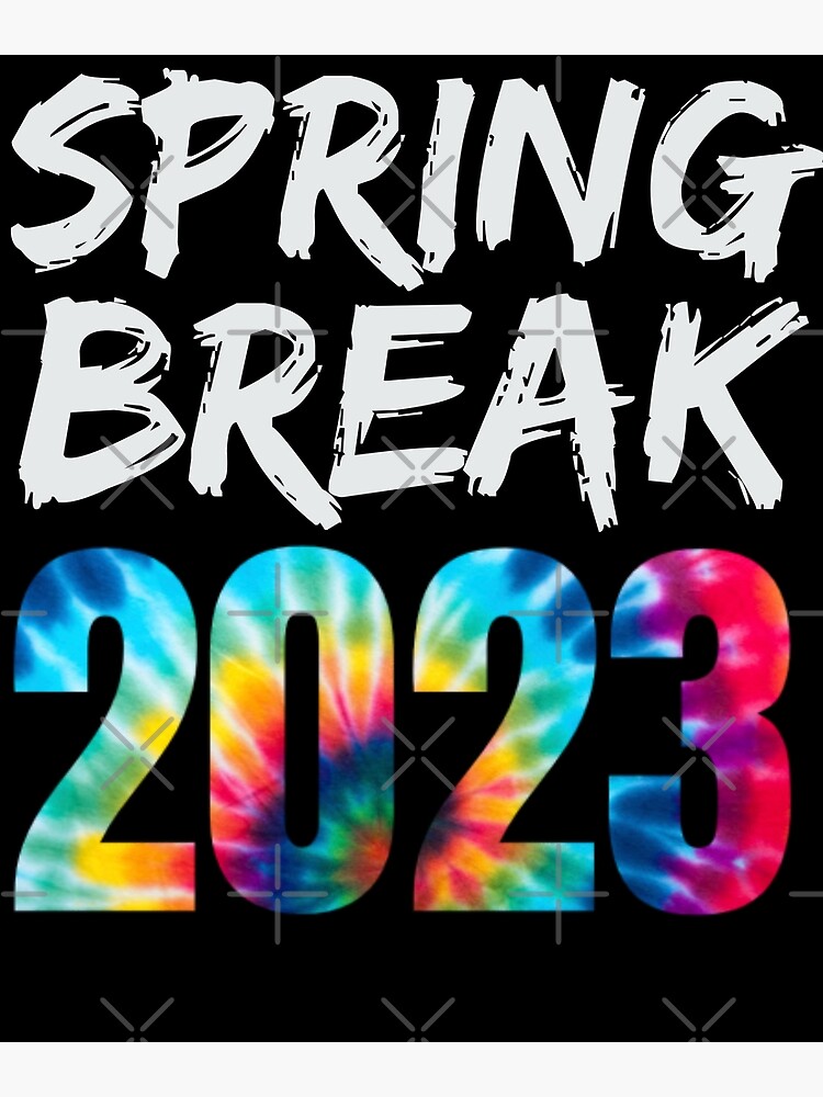 "Spring Break Squad 2023 - Summer Trip Family Besties Reunion " Poster ...