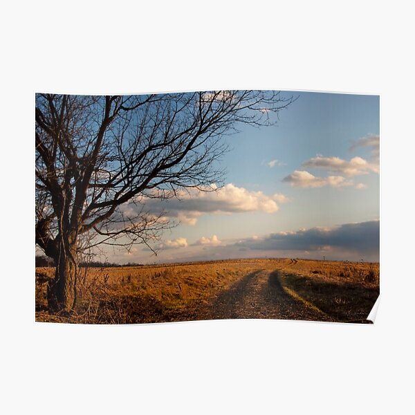 "Open Field" Poster for Sale by dafotos | Redbubble
