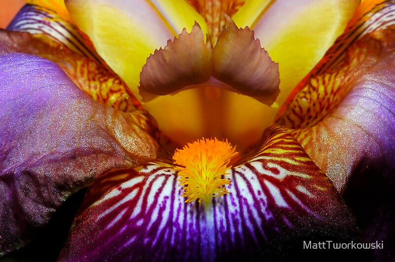 "Inside An Iris" by MattTworkowski | Redbubble