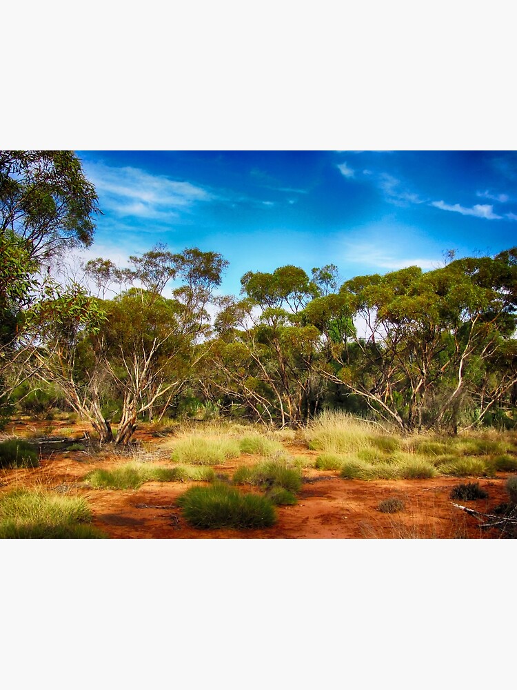 A Typical Australian Outback Scene Premium Matte Vertical Poster sold ...