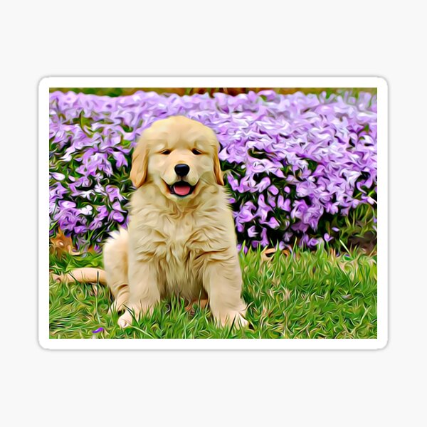 "DOG IN NATURE." Sticker for Sale by Lazar-designer | Redbubble