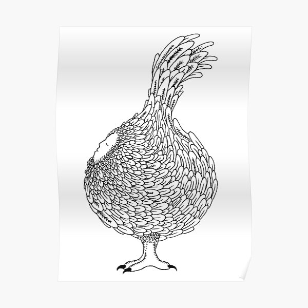 "Lady Bird Monster (white background)" Poster for Sale by Owl-n-bear ...