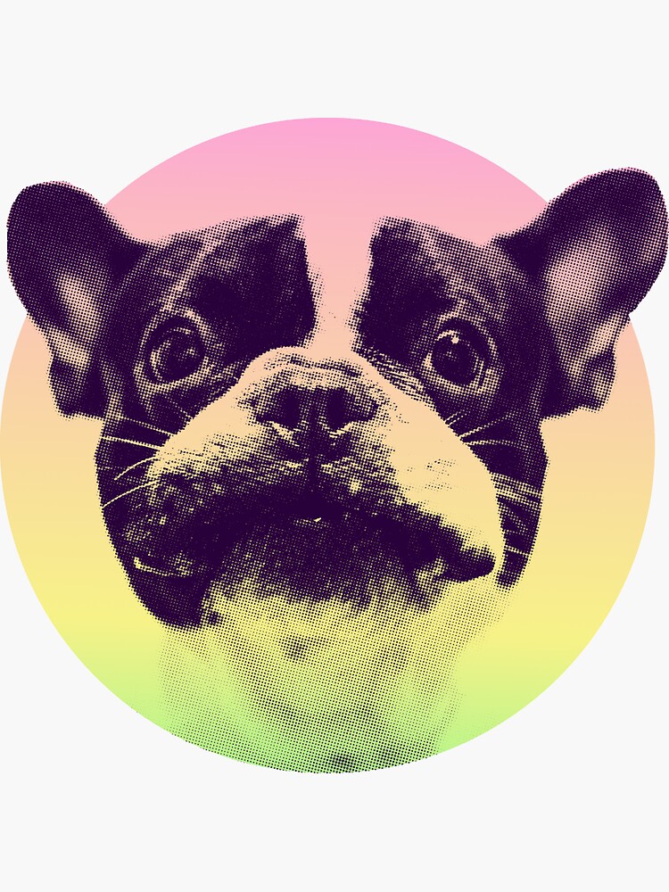 "Retro Frenchie" Sticker by GoblinPunkTees | Redbubble