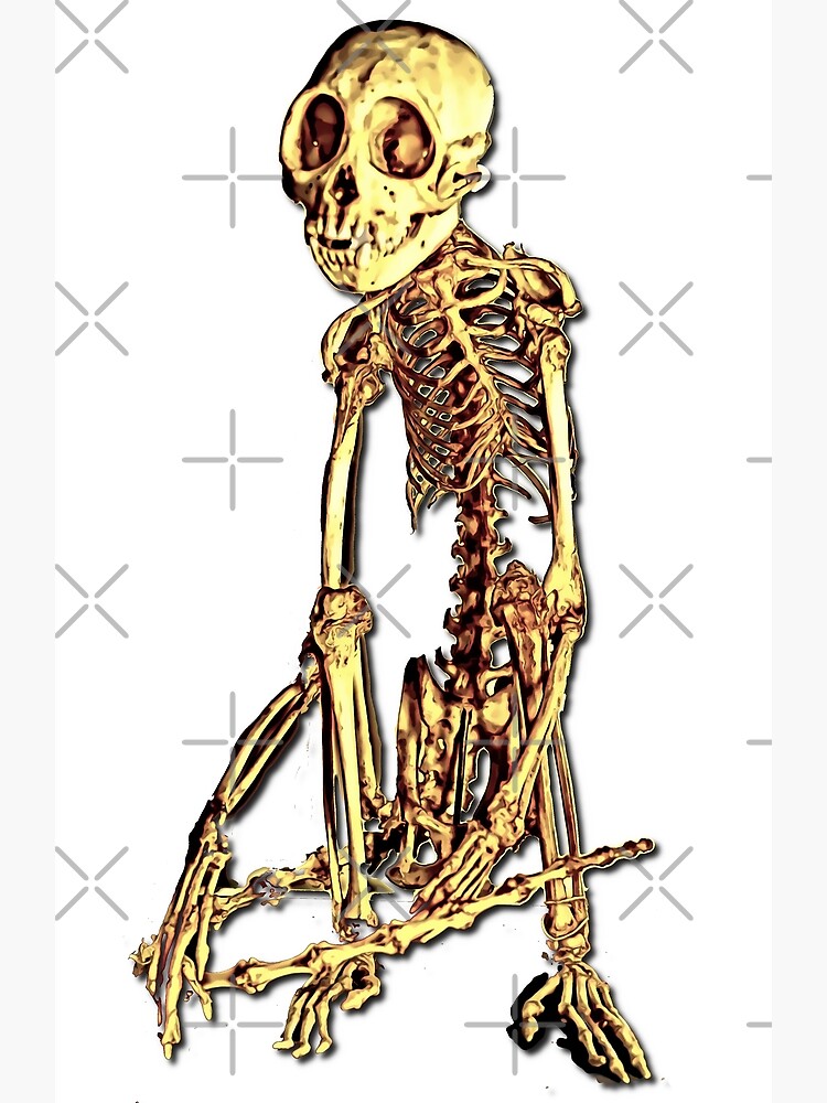 Monkey Skeleton Drawing Illustration