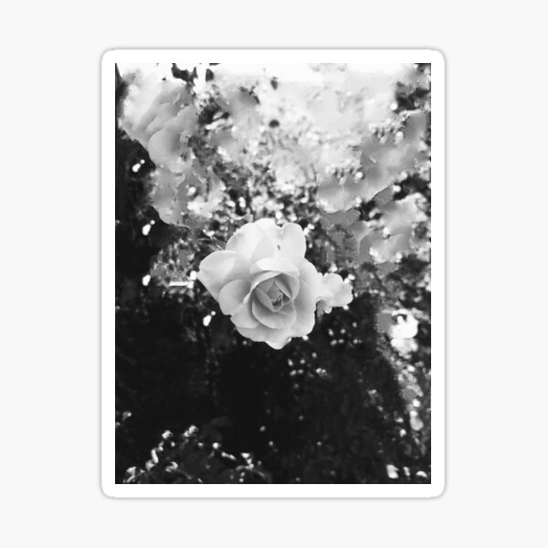 "Colorless" Sticker by d-Penella | Redbubble