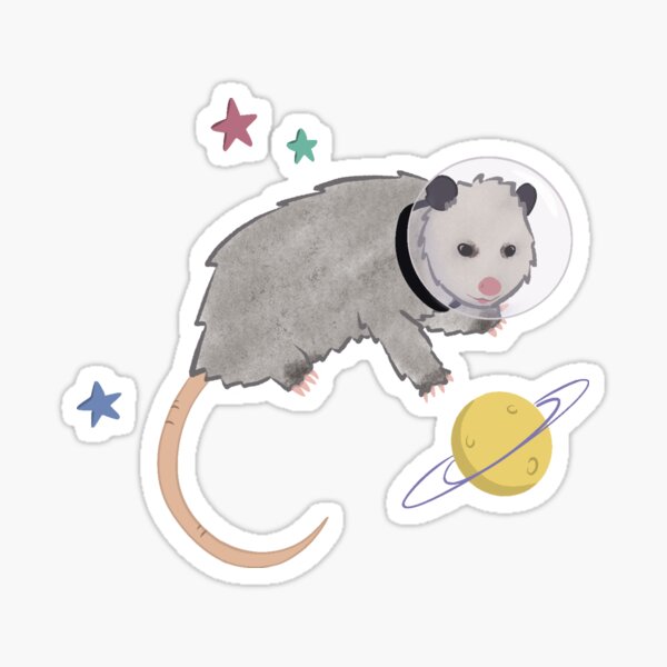 "Space Possum" Sticker by EllisonParker | Redbubble
