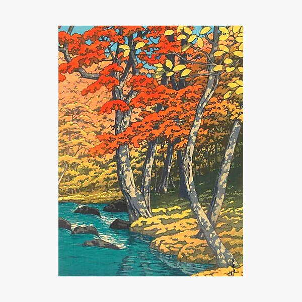 Lámina fotográfica «Paisaje con río y árboles en colores otoñales de ...