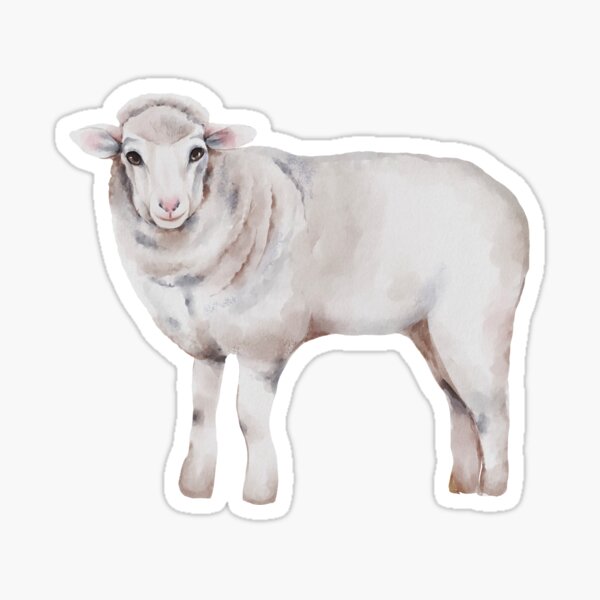 "Watercolor White Sheep Spring Animals Farm Farmers " Sticker for Sale ...