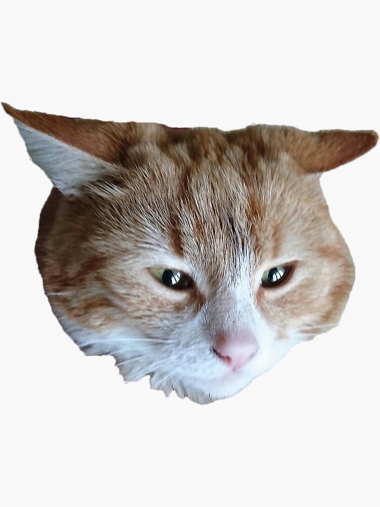 "Yellow cat sticker " Sticker for Sale by ceranali | Redbubble