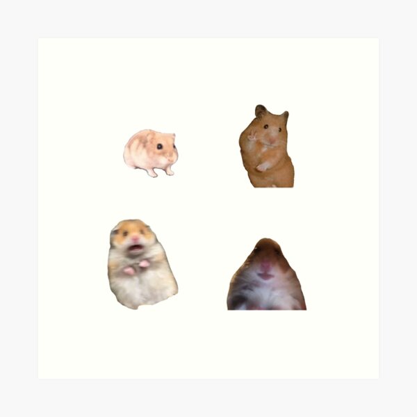 "Meme Hamsters Sticker Pack" Art Print for Sale by caths-designs ...