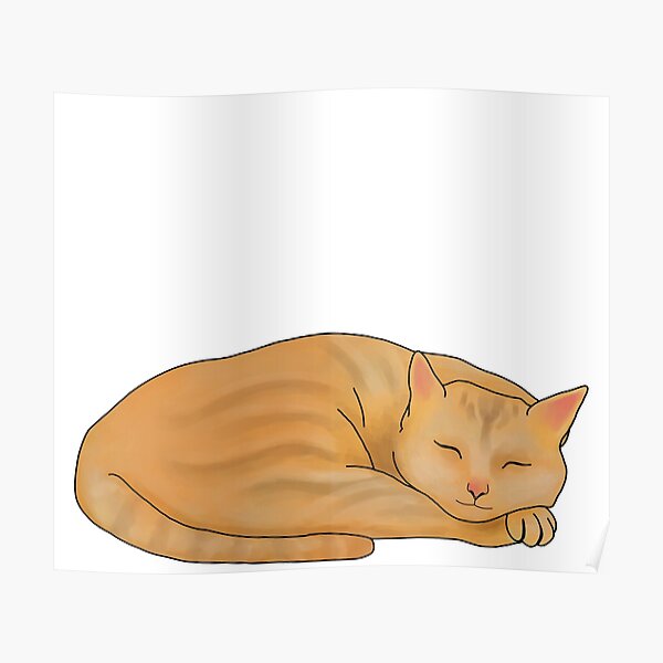 "Sleeping Orange Cat" Poster for Sale by Nevermind-artss | Redbubble