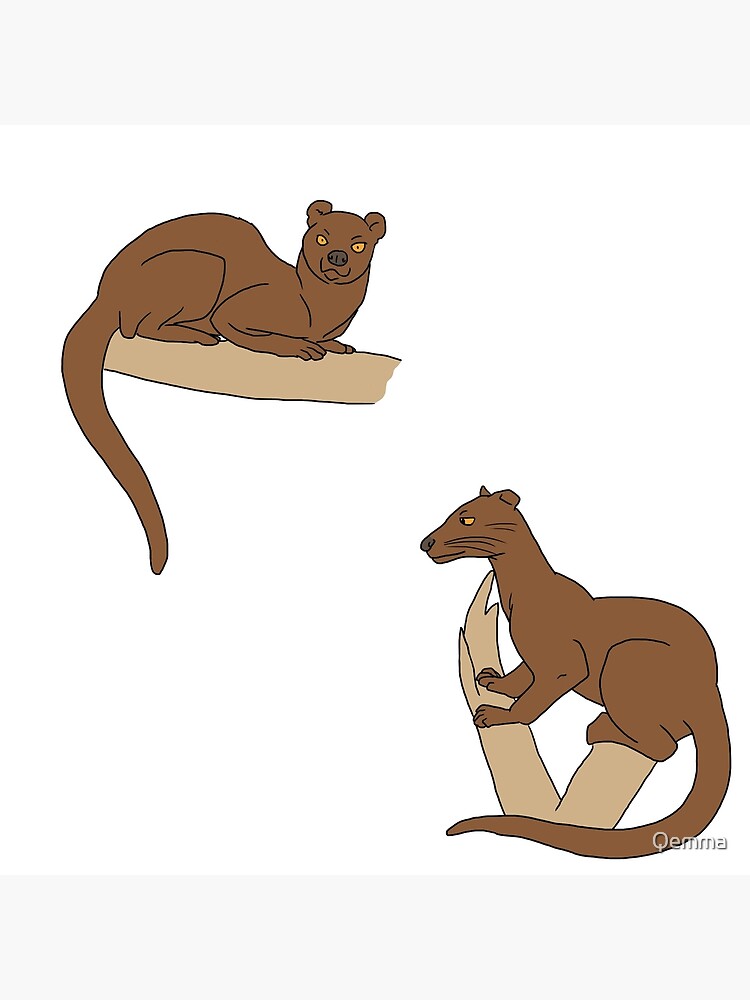 "Fossa" Poster for Sale by Qemma | Redbubble