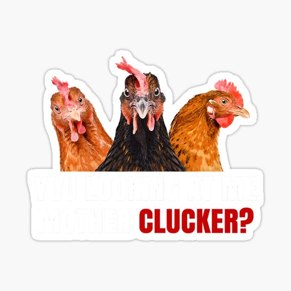 "You Looking At Me Mother Clucker Hen Humor Chicken For Chicken Lovers ...