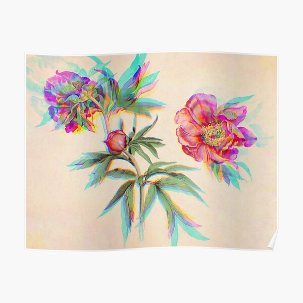 "Aesthetic Flower" Poster for Sale by Art-by-TA | Redbubble